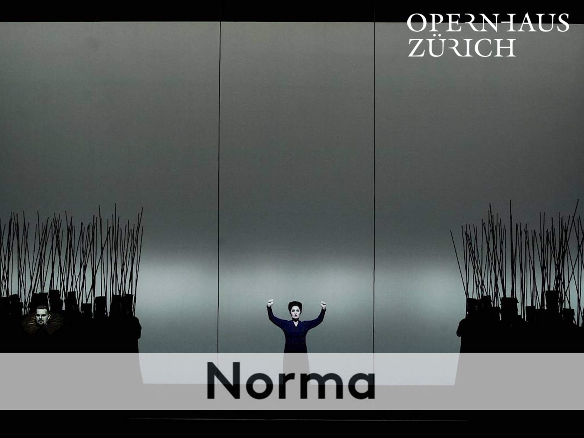 Norma - Opéra de Zürich (2019) (Production - Zürich, suisse) | Opera ...