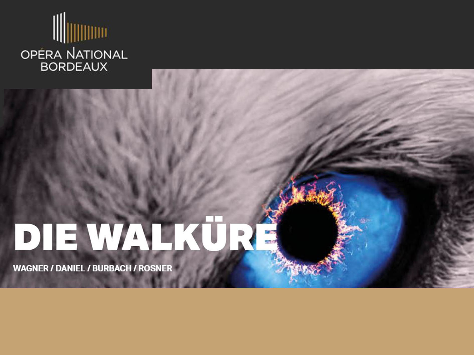 The Valkyrie - Bordeaux national Opera house (2019) (Production ...