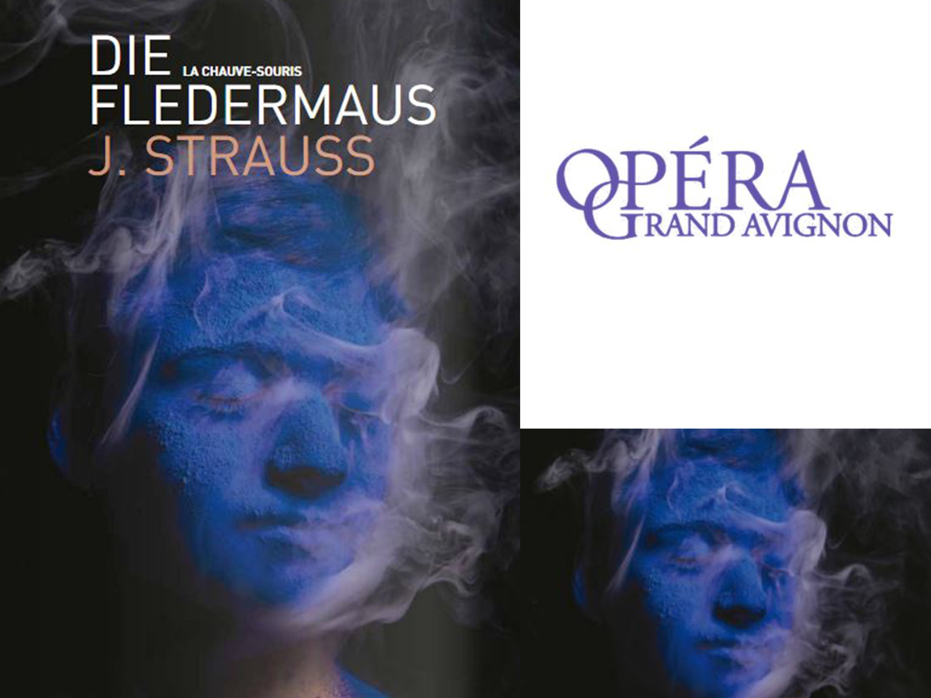 The Bat - Avignon Opera house (2021) (Production - Avignon, france ...