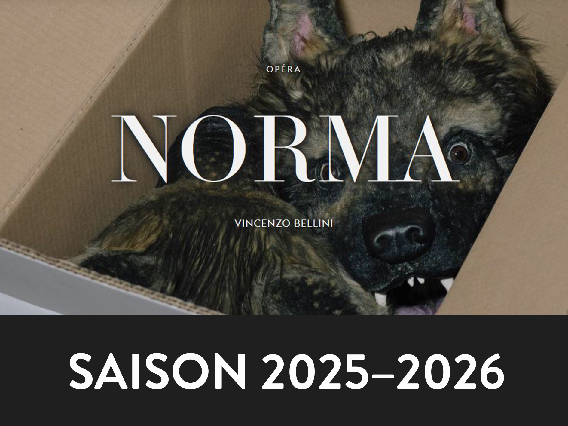 Norma - Théâtre Royal de La Monnaie - De Munt (2025) (Production ...