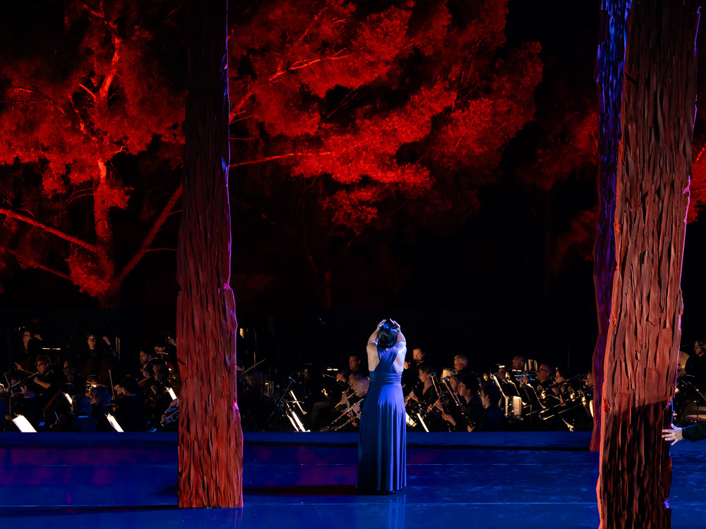 Norma - Opéra de Toulon (2025) (Production - Toulon, france) | Opera ...